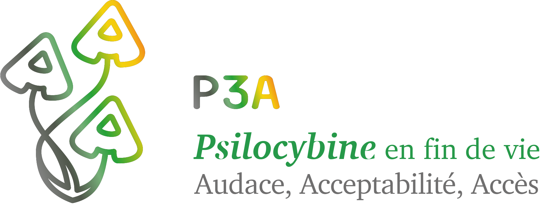 Our realizations - P3A